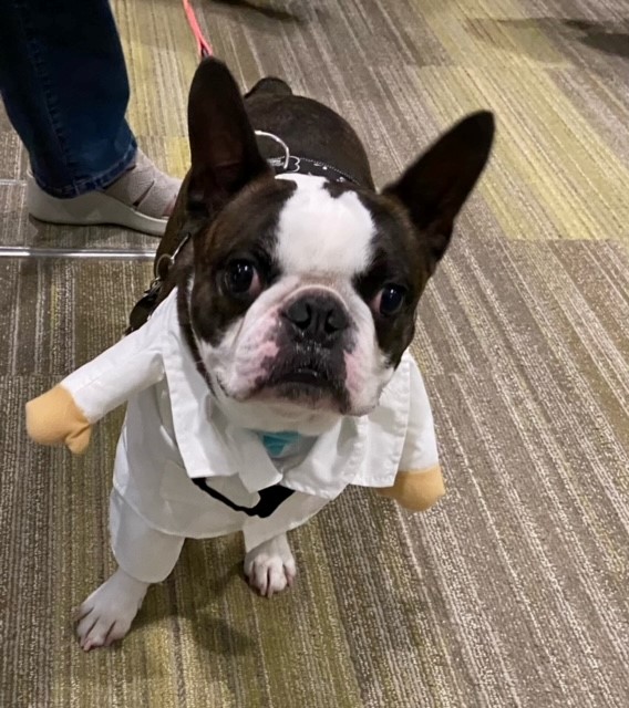 Debbie and Her Dogs Find Joy in Bringing Joy to Others | Bon Secours Blog