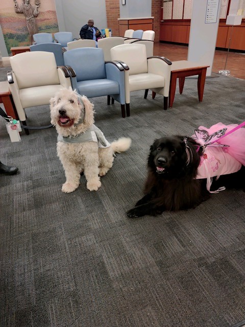 Debbie and Her Dogs Find Joy in Bringing Joy to Others | Bon Secours Blog